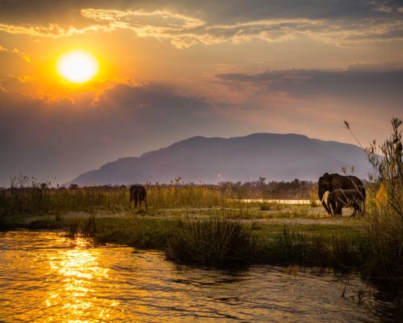 BANGWEULU WETLANDS - Vayeni