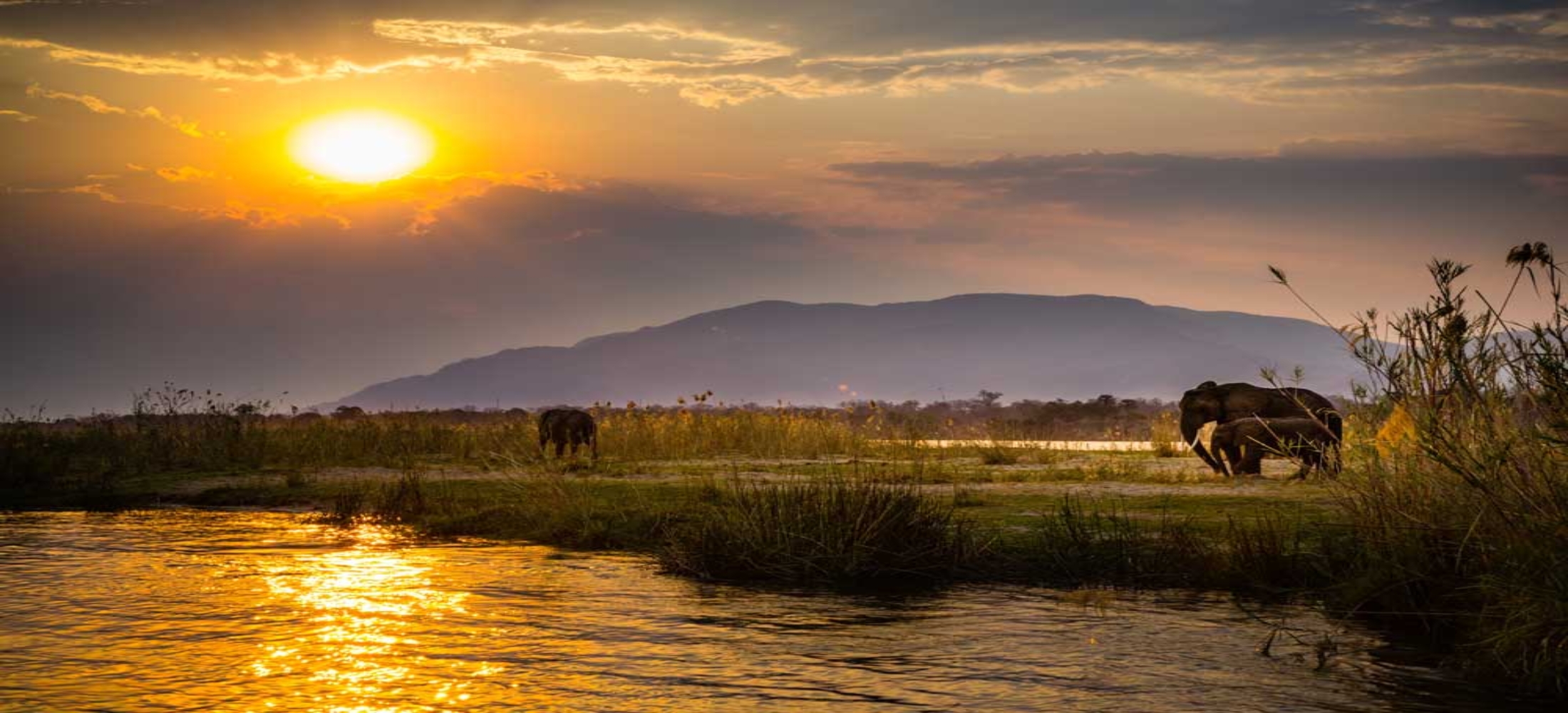 LOWER ZAMBEZI NATIONAL PARK - Vayeni
